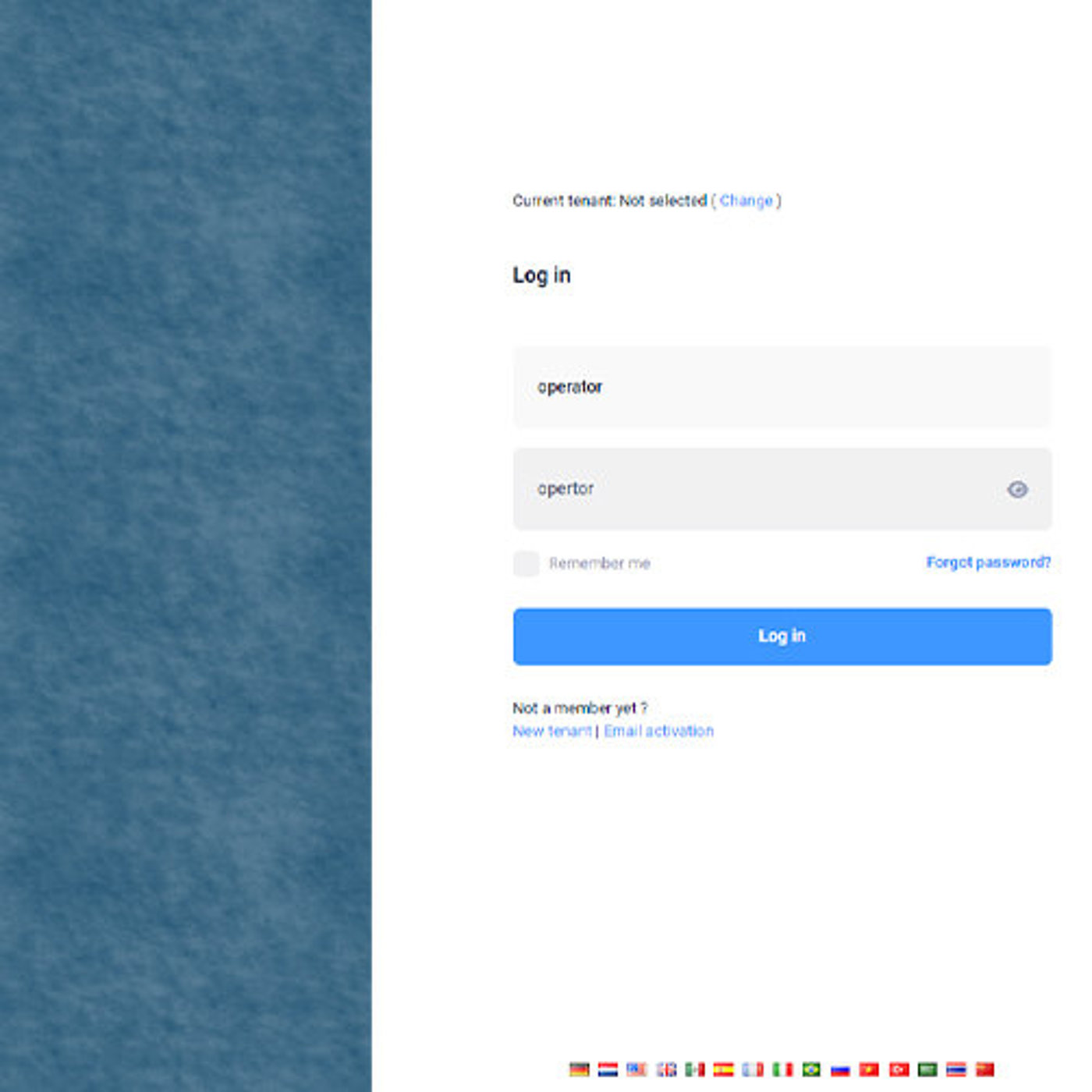 Digitization - Rotzinger
