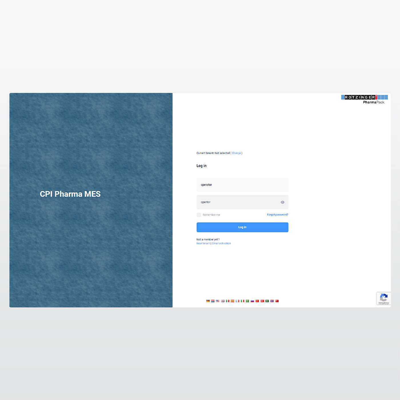 Digitization - Rotzinger