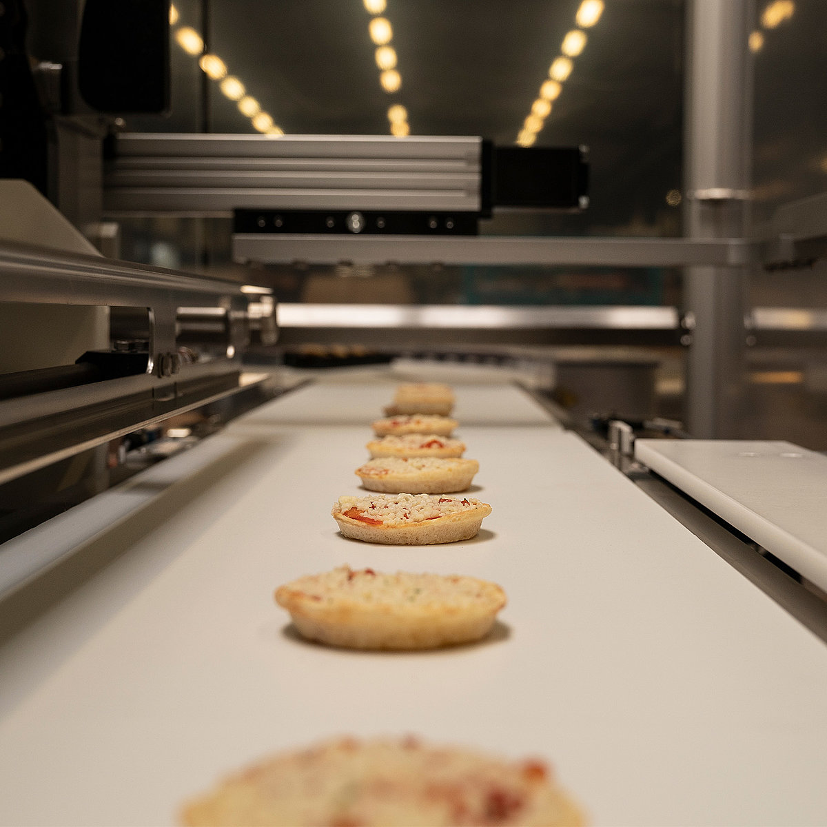 rotzingergroup.com - Rotzinger