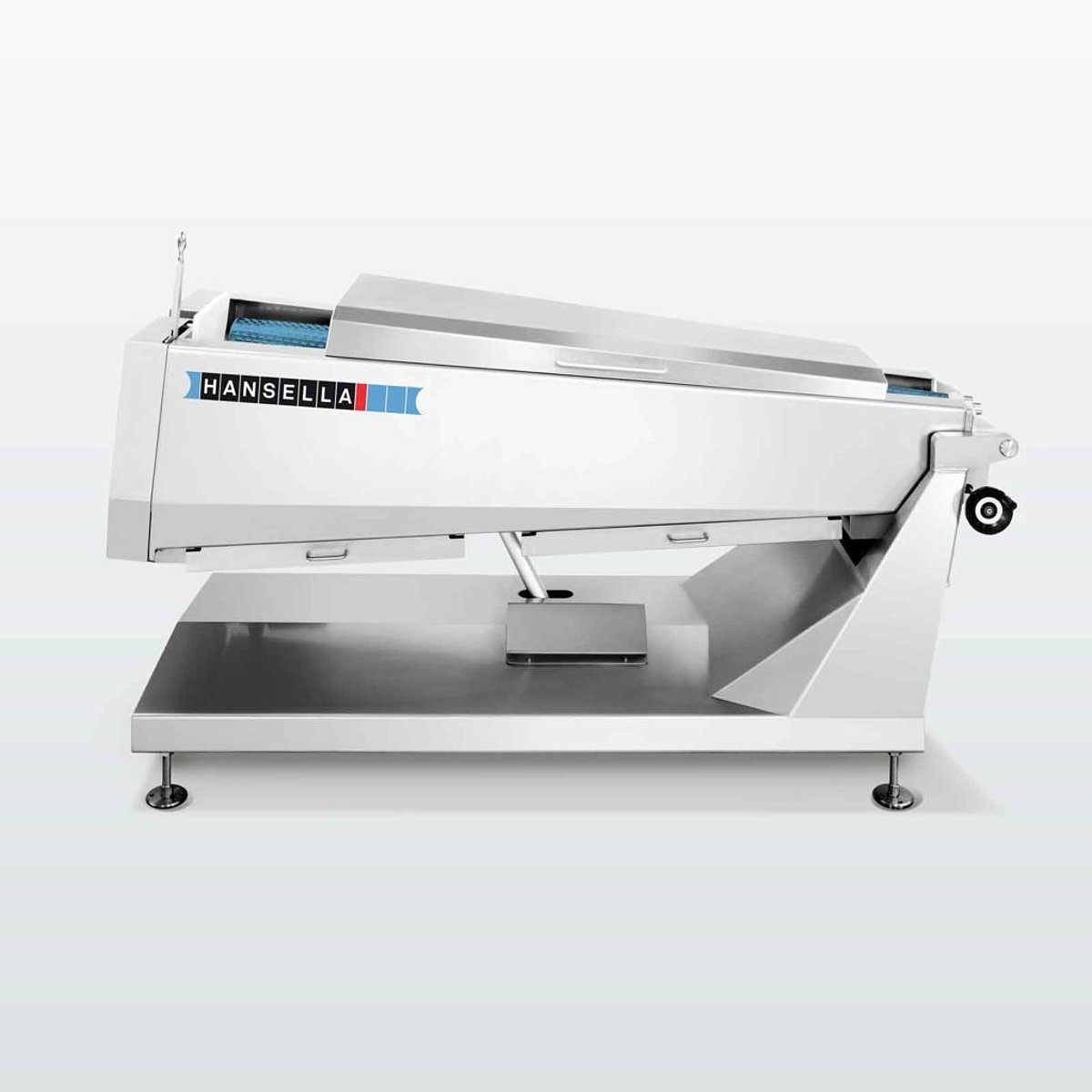 Gum production - Rotzinger