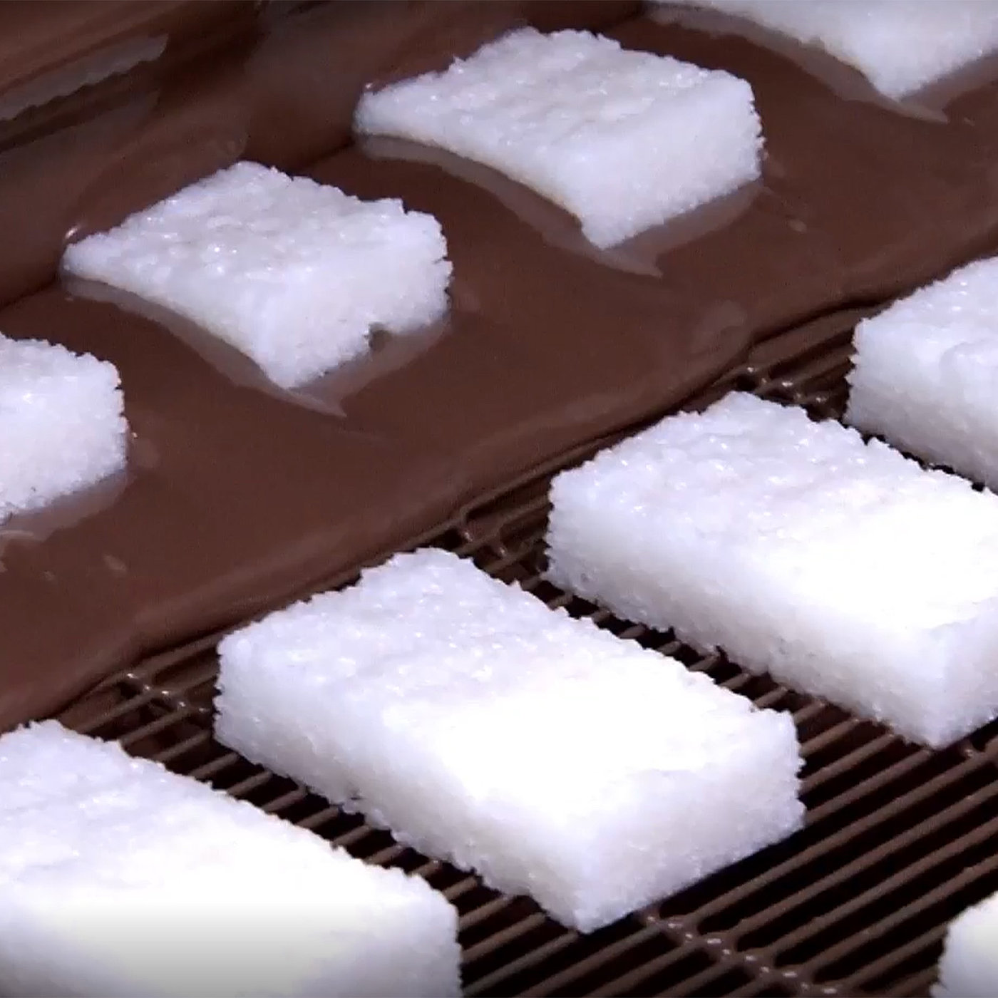 Enrobing System - Rotzinger