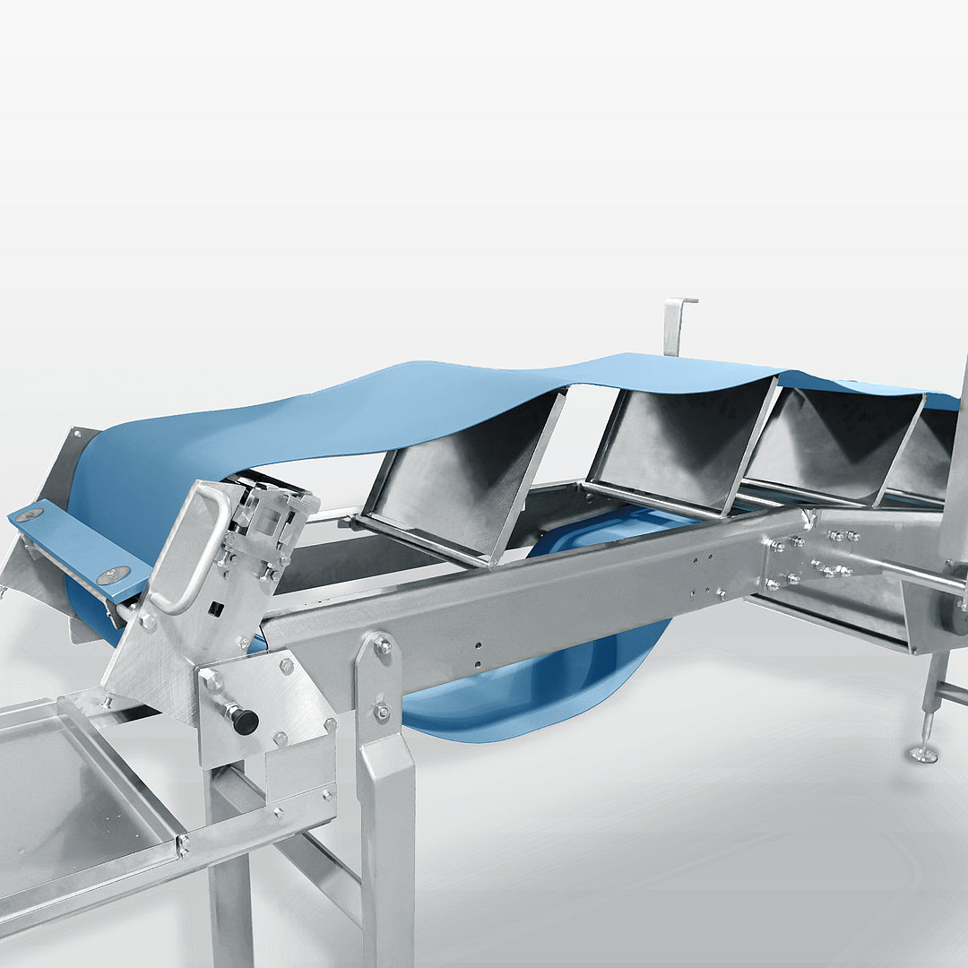 Hygiene conveying - Rotzinger