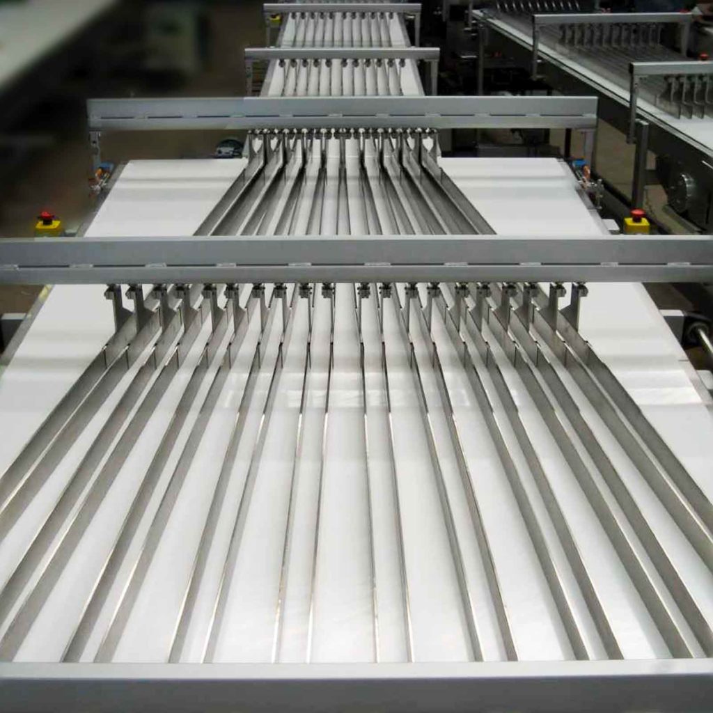 Hygiene conveying - Rotzinger